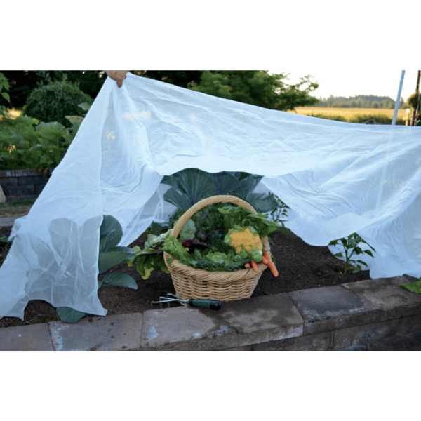 Gardening Insect Netting Mesh Bug Netting Screen Farm Plastic Supply